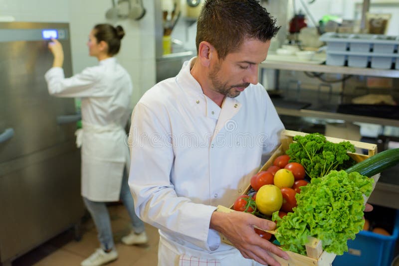 Portrait Chef with Vegetables Stock Photo - Image of lettuceleaves ...