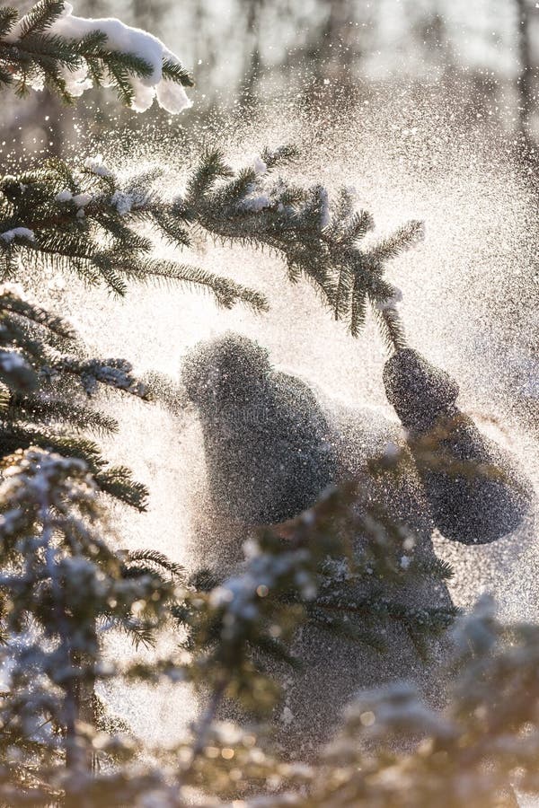 Boy Branch Pulling Tree Stock Photos - Free & Royalty-Free Stock Photos ...