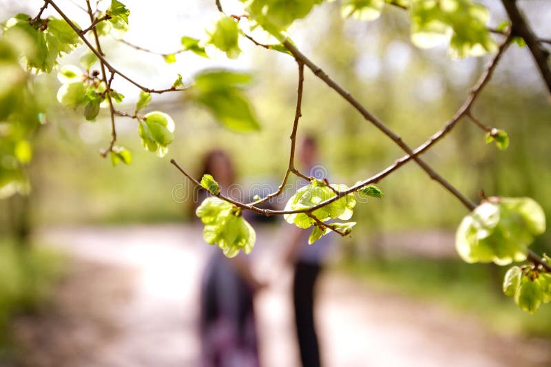 Portrait of Couple through the Branches in a Summer Park Stock Photo ...