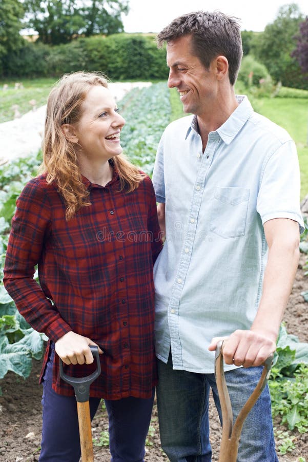 Portrait of Couple Working in Organic Farm Field Stock Photo - Image of ...