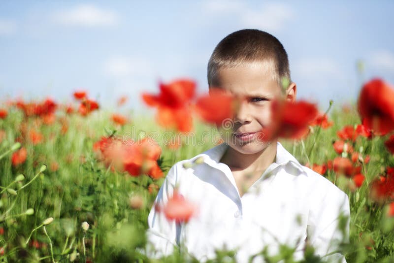 Portrait of Cute Boy in Poppy Field Stock Image - Image of happy, child ...
