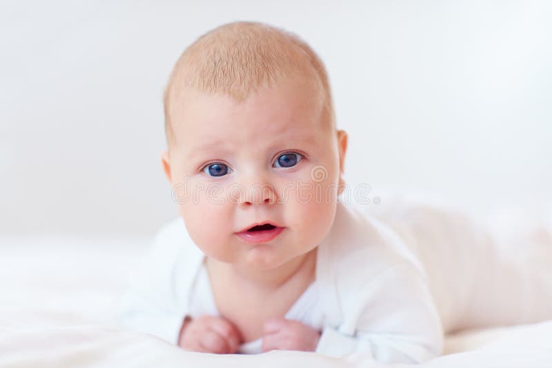 Portrait of Cute Infant Baby on White, Two Months Old Stock Image ...
