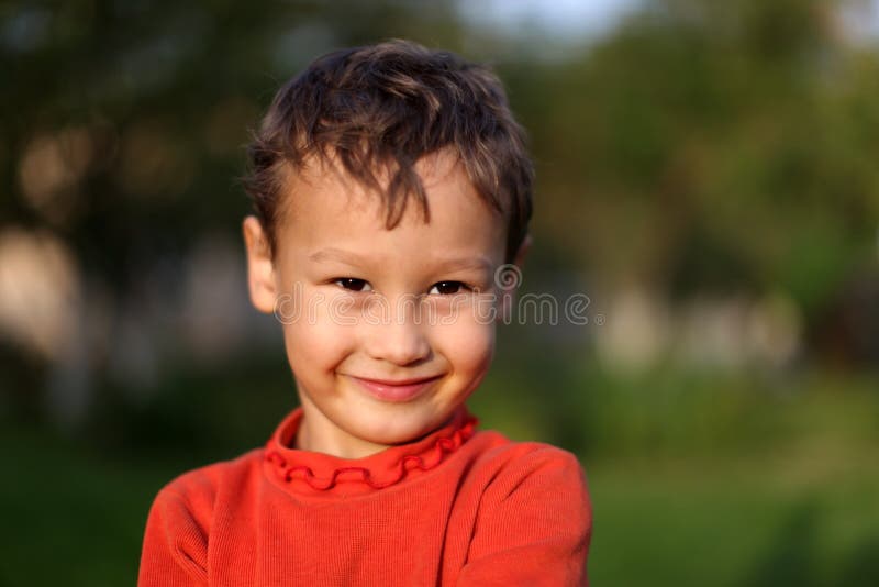 Portrait D'un Petit Garçon Drôle 4 Ans Image stock - Image du adoption ...
