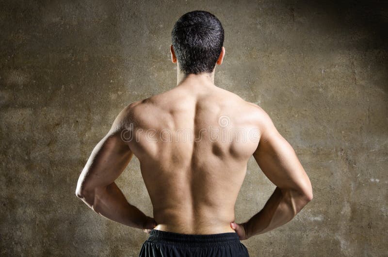 Portrait De Dos De Muscle De Jeune Homme Image stock - Image du muscle ...