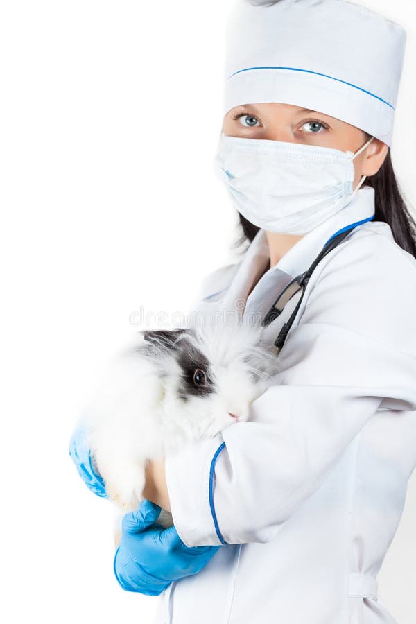 Portrait of a Doctor with a Decorative Rabbit Stock Image - Image of ...