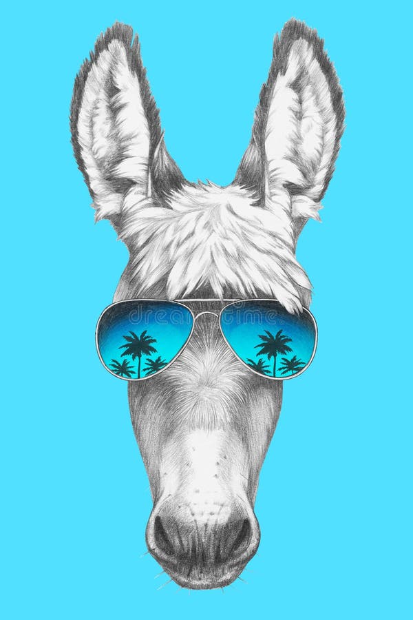 Portrait of Donkey with Mirror Sunglasses. Stock Illustration ...