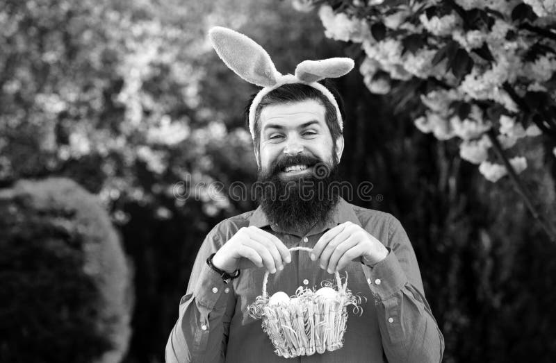 Portrait of Easter Man Hunting Eggs. Man in Bunny Ears Holds Basket ...