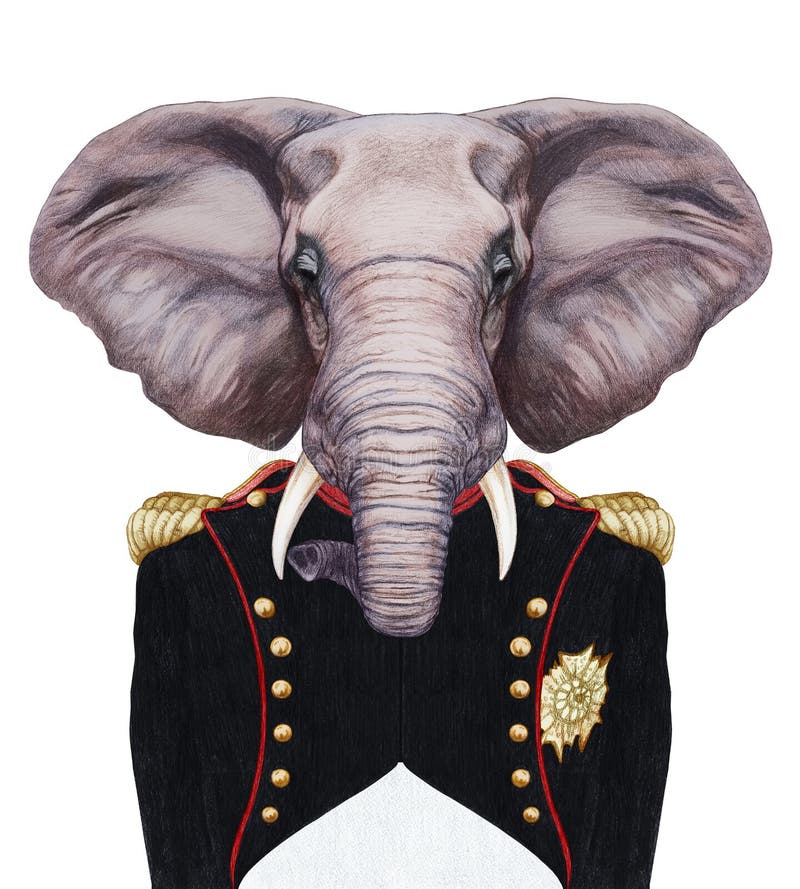 Portrait of Elephant in Military Uniform. Stock Illustration ...