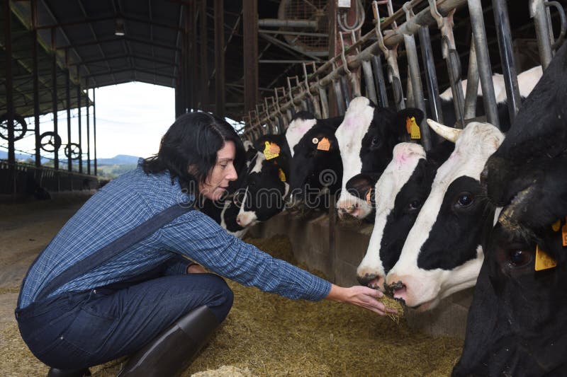 Portrait of a farm woman stock image. Image of herd - 134315165