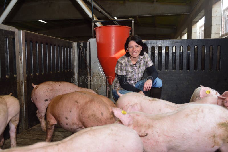 Portrait of a Farm Woman on a Pig Farm Stock Image - Image of life ...