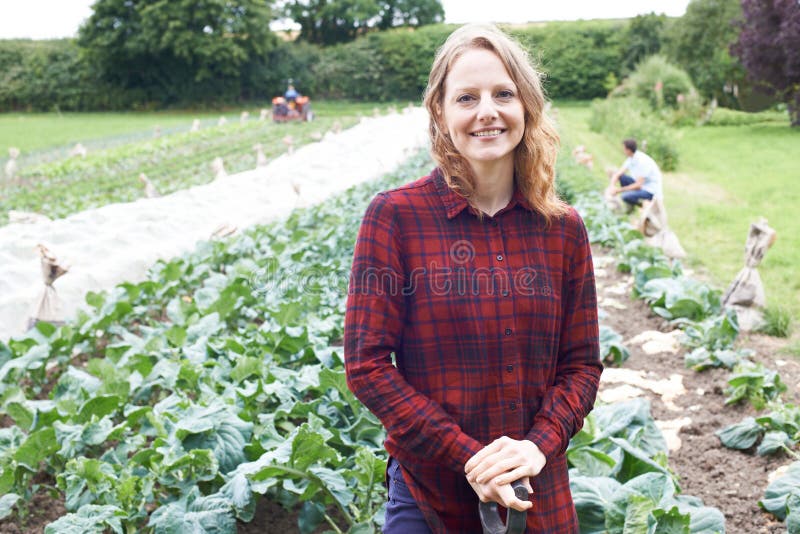 Portrait of Farm Workers in Organic Field Stock Photo - Image of food ...