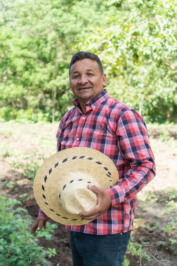 Portrait of a Farmer Standing in a Field Stock Photo - Image of looking ...