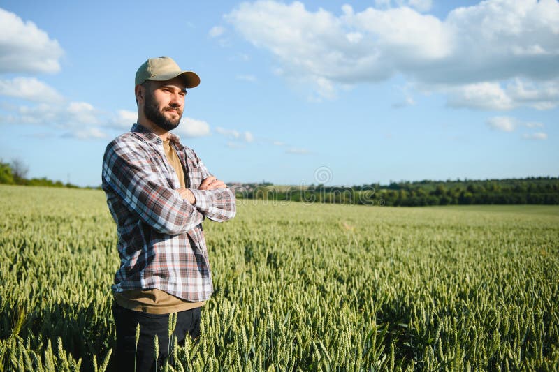 Portrait of Farmer Standing in Wheat Field Stock Image - Image of ...