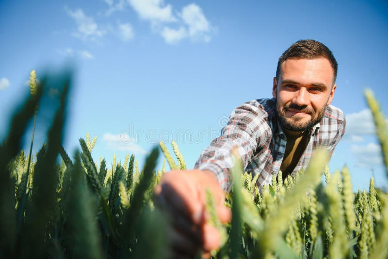 Portrait of Farmer Standing in Wheat Field Stock Image - Image of ...