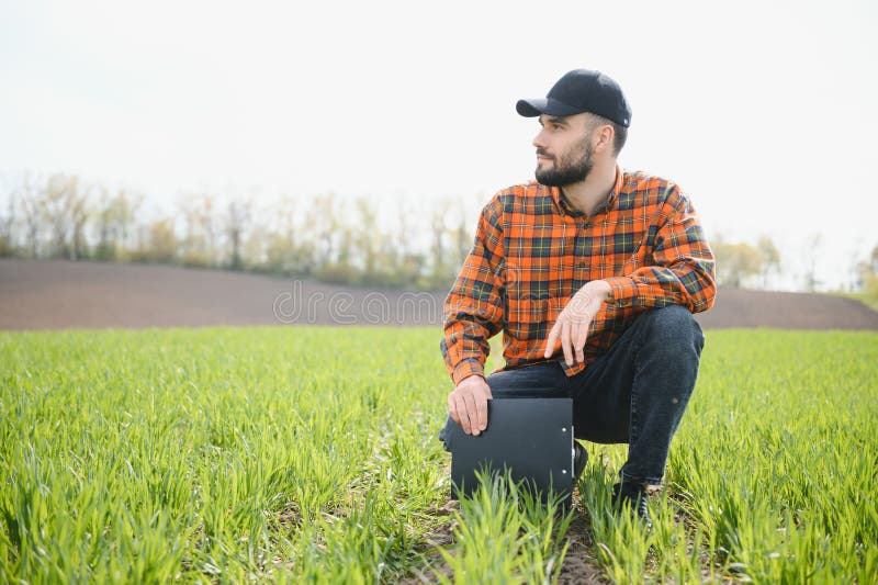 Portrait of Farmer in Wheat Field. a Handsome Farmer or Agronomist is ...