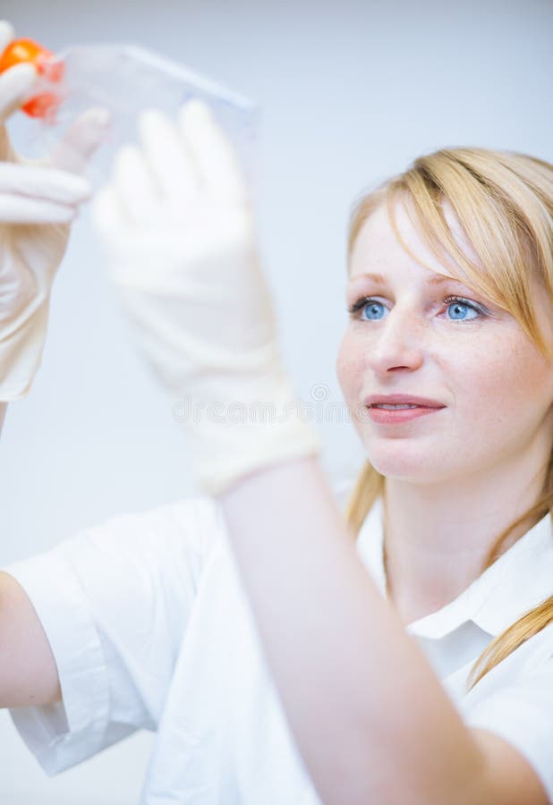 Portrait of a Female Researcher Stock Photo - Image of person, looking ...
