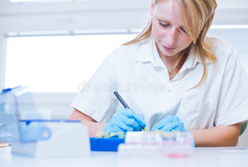 Portrait of a Female Researcher Stock Photo - Image of discover, female ...