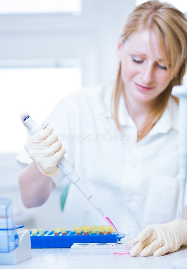 Portrait of a Female Researcher Stock Photo - Image of research ...