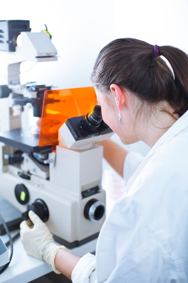 Portrait of a Female Researcher Stock Photo - Image of science ...