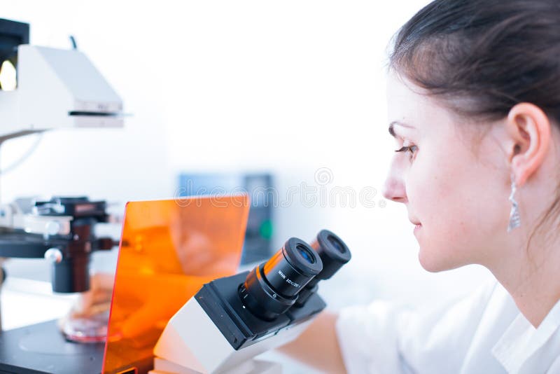 Portrait of a Female Researcher Stock Image - Image of person ...
