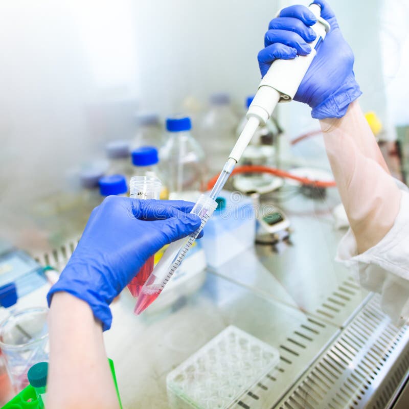 Female Researcher Doing Research in a Lab Stock Image - Image of ...
