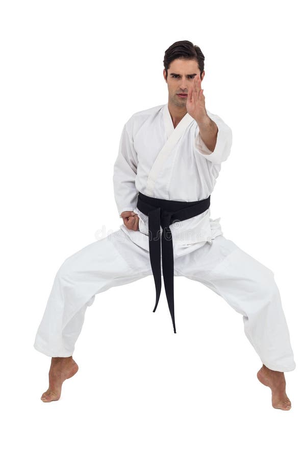 Portrait Of Fighter Performing Karate Stance Stock Photo - Image of ...