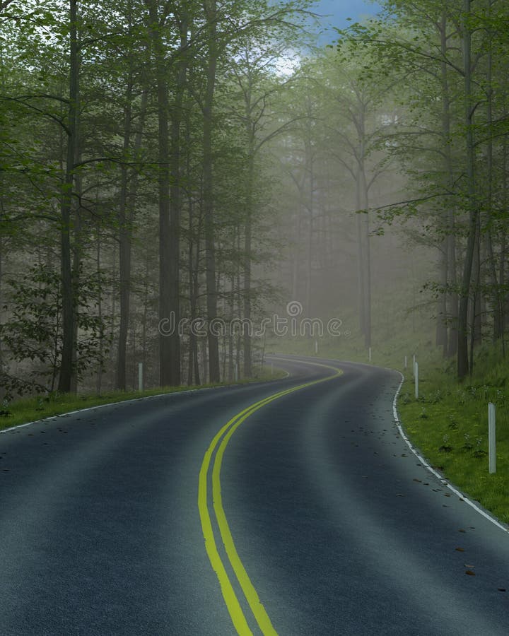 Portrait Format View of an Empty Road through a Forest with Yellow ...