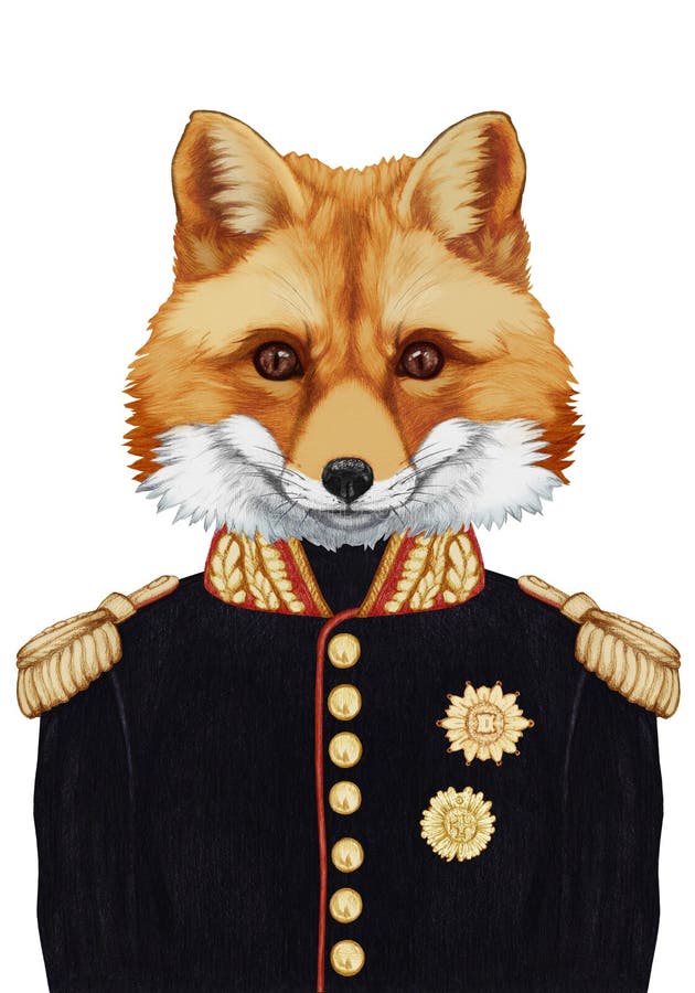 Portrait of Fox in Military Uniform. Stock Illustration - Illustration ...