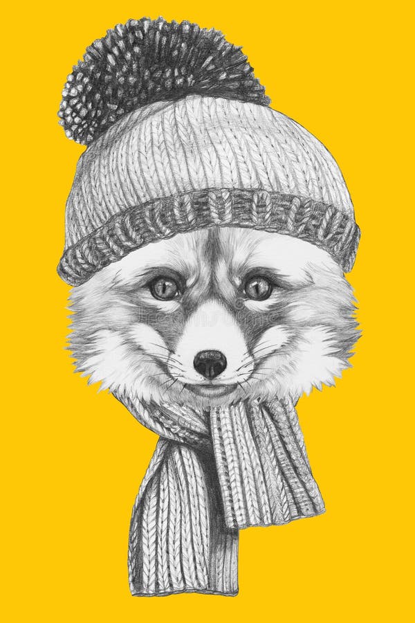 Portrait of Fox with Scarf and Hat. Stock Illustration - Illustration ...