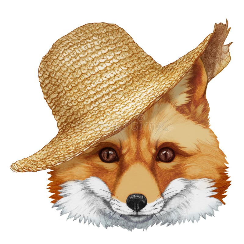 Portrait Fox Straw Hat Stock Illustrations – 7 Portrait Fox Straw Hat ...