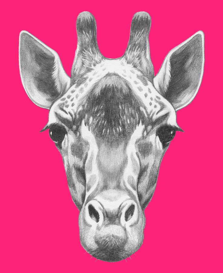 Portrait of Giraffe with Sunglasses, Hand-drawn Illustration Stock ...