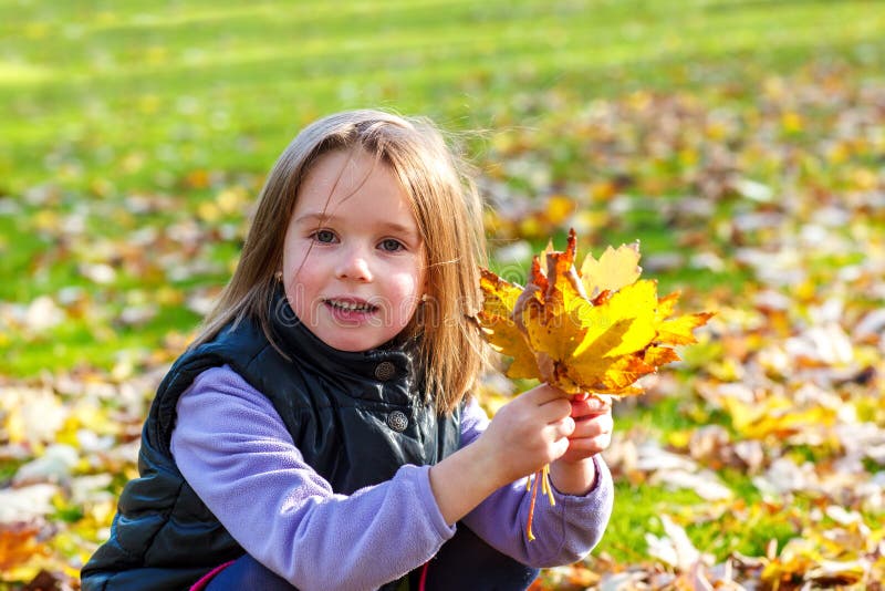 Portrait of a girl stock image. Image of attractive, leaves - 31164555