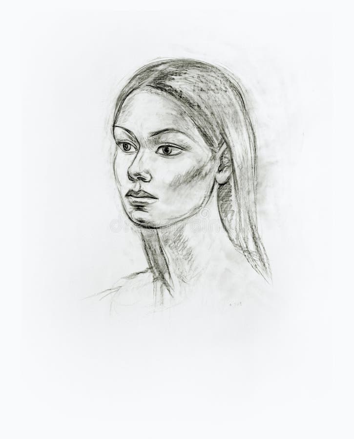 Head Venus De Milo Academic Pencil Drawing Stock Illustration
