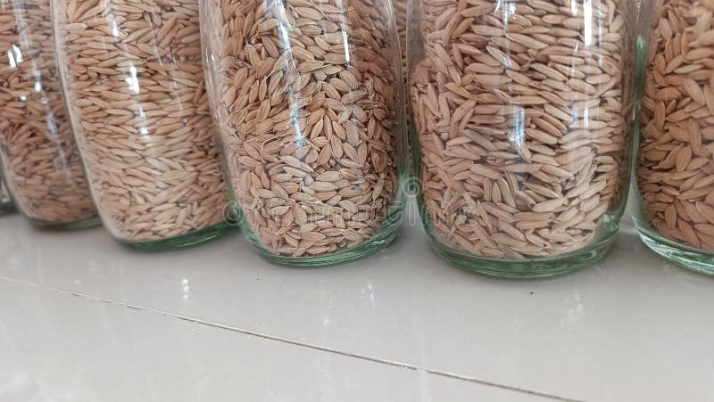 Portrait of a Glass Bottle Containing Rice Seed Samples with Various ...
