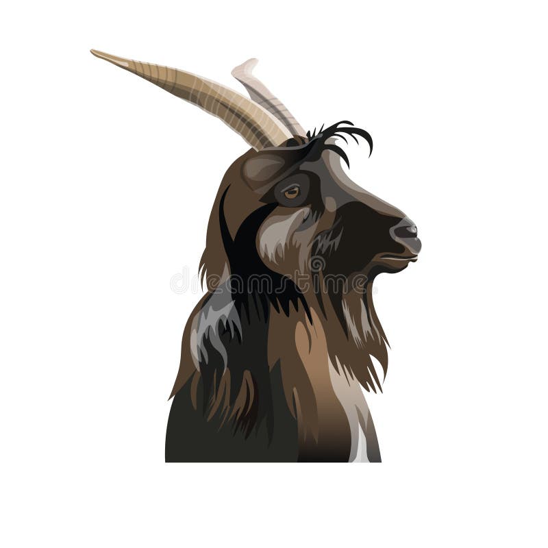 Goat Head Silhouette Front View Vector Illustration Stock Vector ...