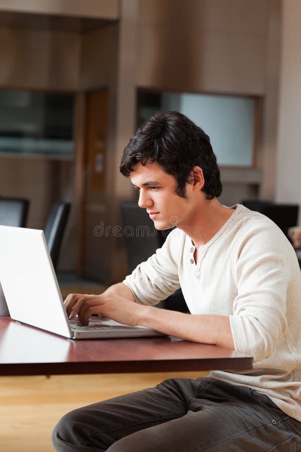Portrait of a Good Looking Man Using a Laptop Stock Image - Image of ...