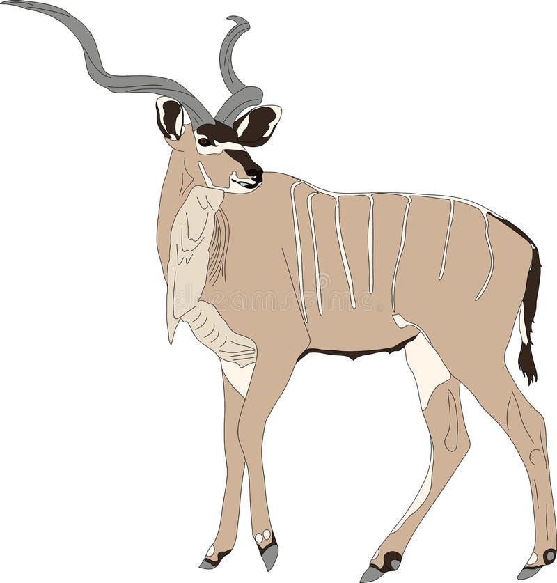 Kudu Stock Illustrations – 344 Kudu Stock Illustrations, Vectors ...