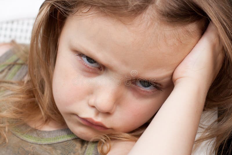 Grey Squirrel stock image. Image of grey, eating, feeding - 10325473