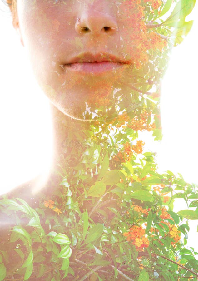 A Double Exposure Half a Portrait Stock Image - Image of tree, person ...