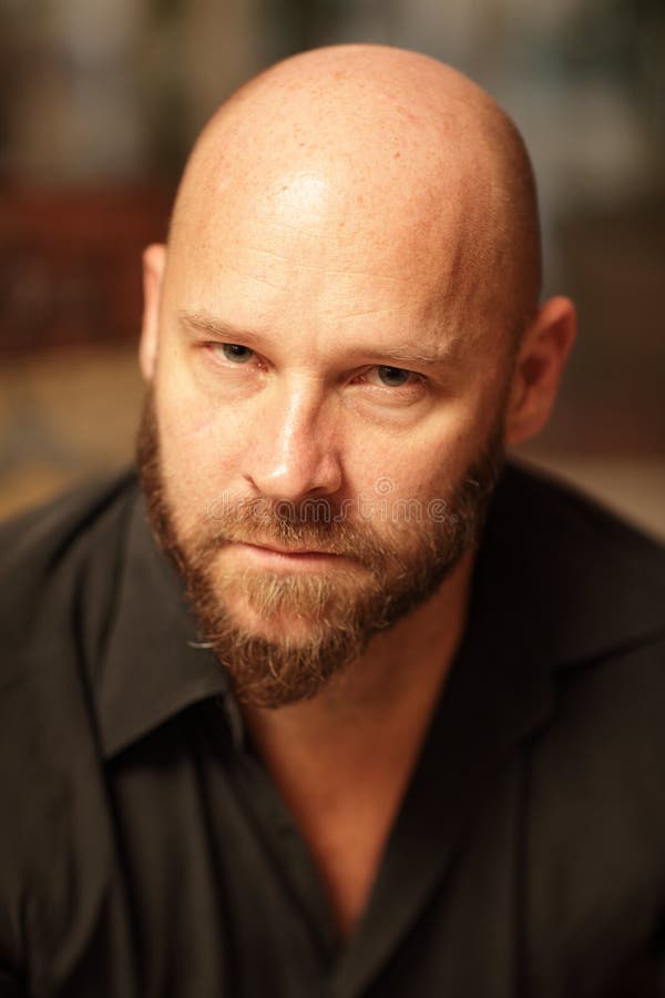 Portrait of a Handsome Bald Man Stock Image - Image of macho, shaved ...