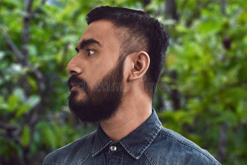 Portrait of Handsome Bearded Man Stock Image - Image of handsome ...