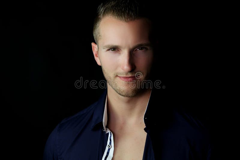 Handsome Blond Belgian Draft Horse Looking at the Viewer Stock Photo ...