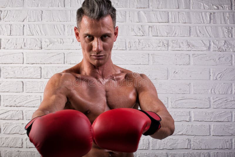 Portrait of Handsome Boxer Man Standing on the Bric Wall and Looking at ...