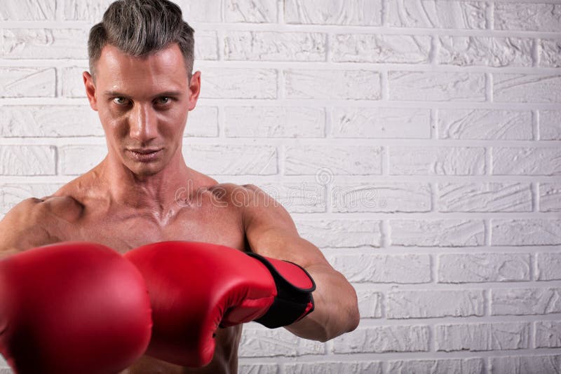Portrait of Handsome Boxer Man Standing on the Bric Wall and Looking at ...