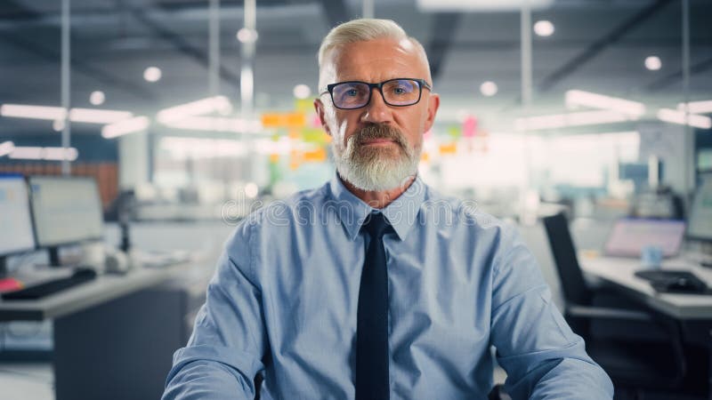 Portrait of a Handsome Experienced Senior Manager Working on Computer ...