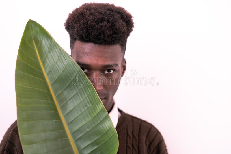 Portrait of Handsome Man with Leaf Covering Part of Face Stock Image ...