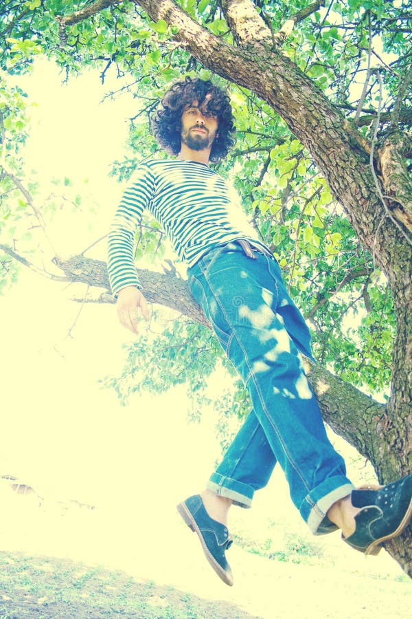 Portrait of Handsome Man on Tree Stock Image - Image of activity ...