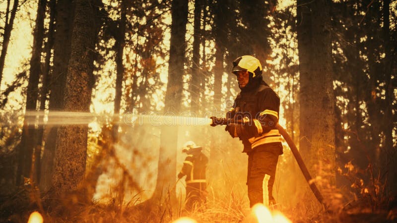 402 Firefighter Team Forest Stock Photos - Free & Royalty-Free Stock ...