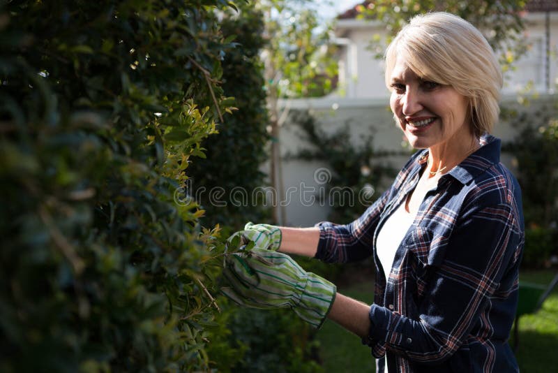 Portrait of Happy Woman Pruning Plants Stock Image - Image of length ...