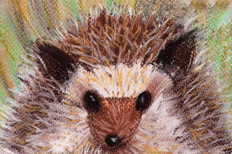 Portrait of Hedgehog. Child Hand Drawn Image Stock Image - Image of ...